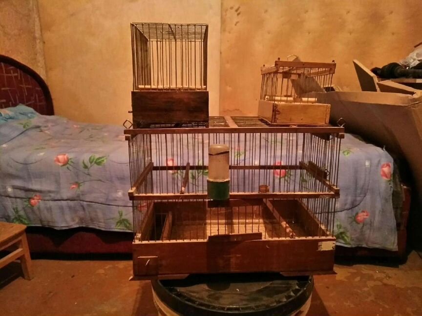 Клетка для птиц