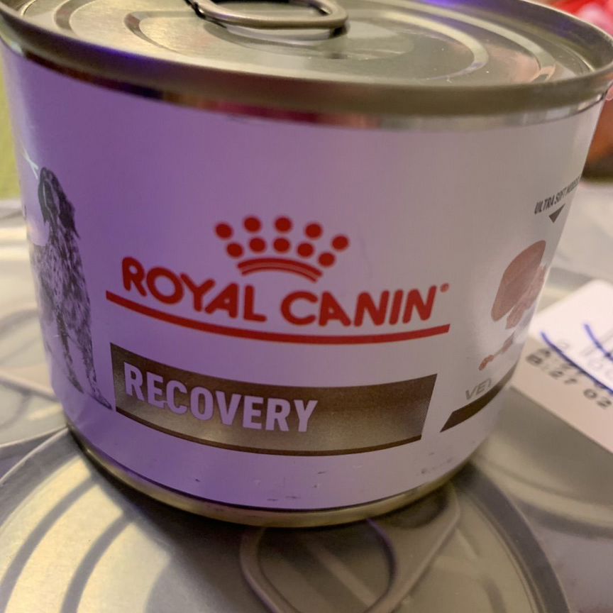 Паштет Royal canin recovery рекавери