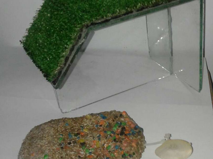 Для черепахи мостик И островок