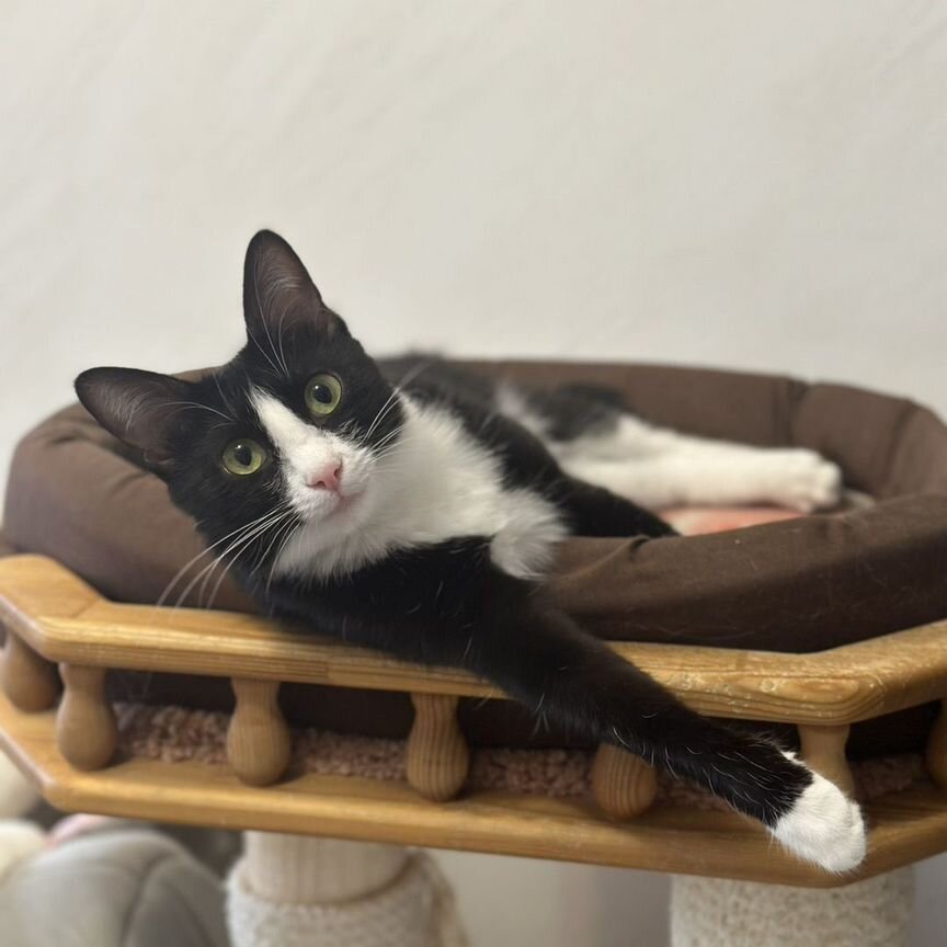 Максим в самые надёжные руки