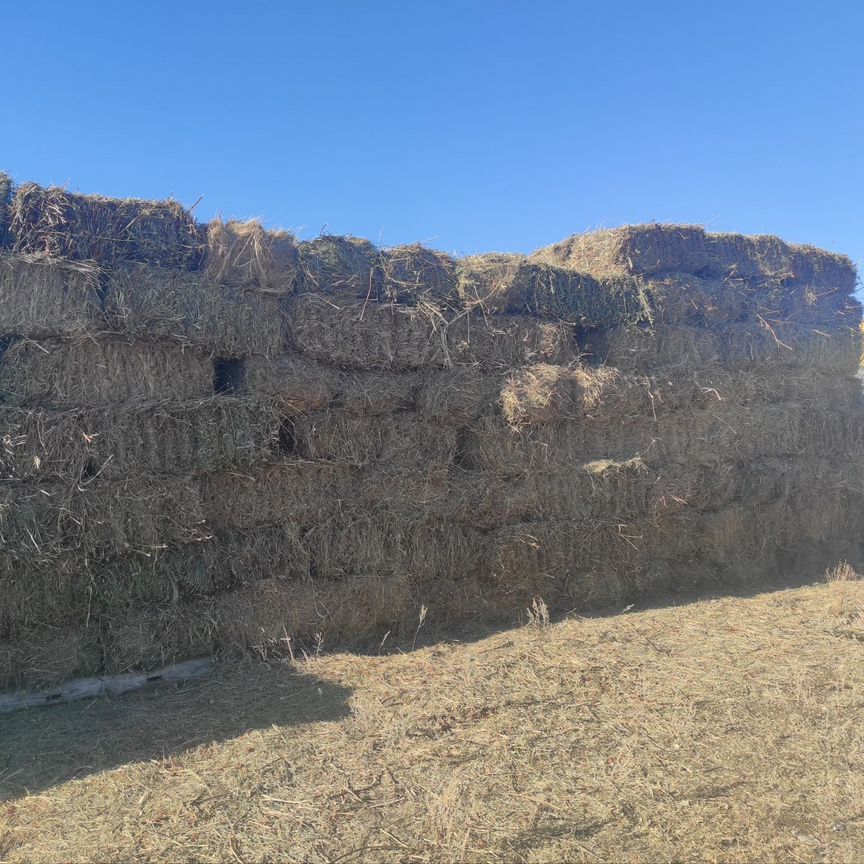 Сено в тюках