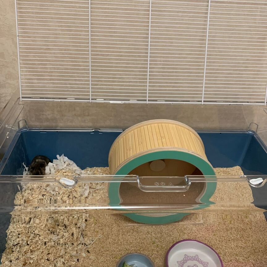 Клетка для хомяка
