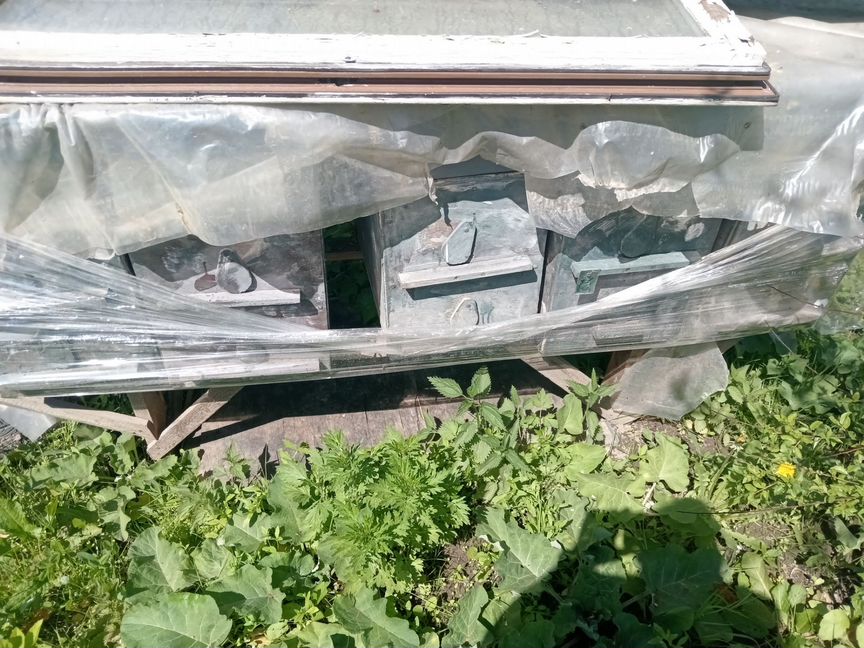 Продам рамки б/у улья для пчёл