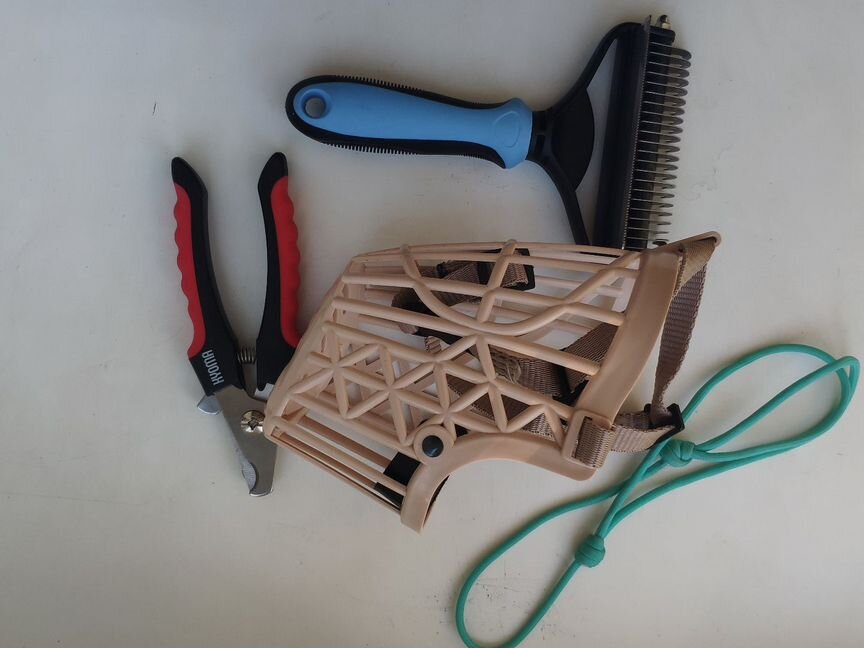 Вещи для собаки