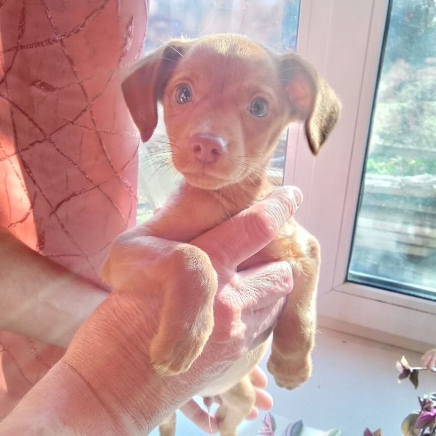 Милый малыш ищет руки