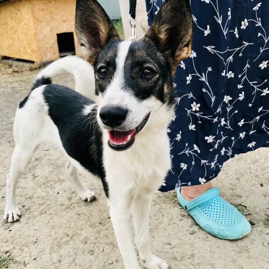 Цветочек в добрые ручки