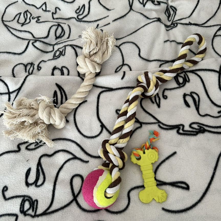 Собачьи игрушки