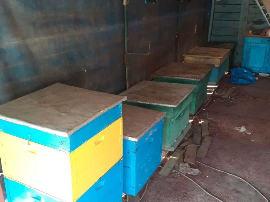 Улей для пчел бу дадан