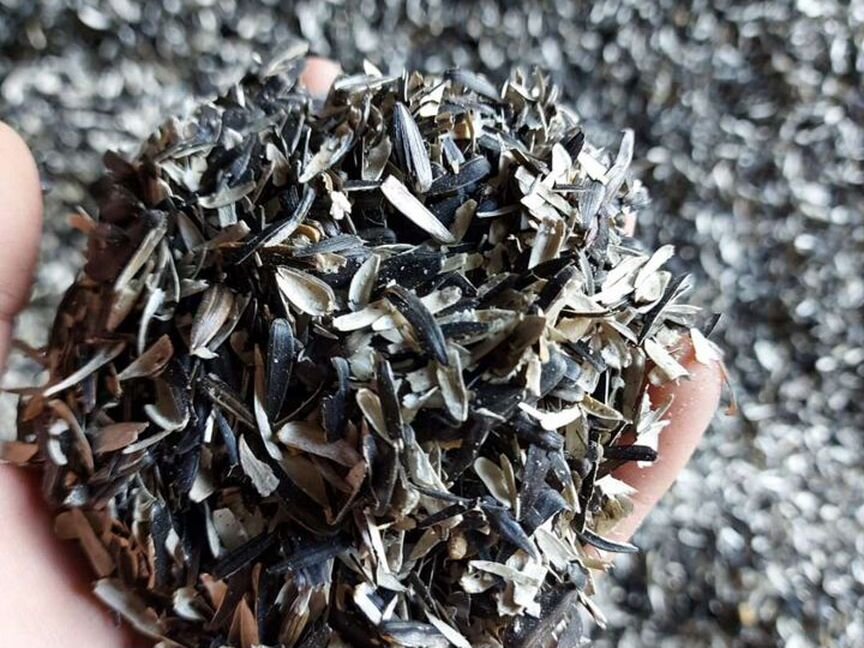 Лузга подсолнечника