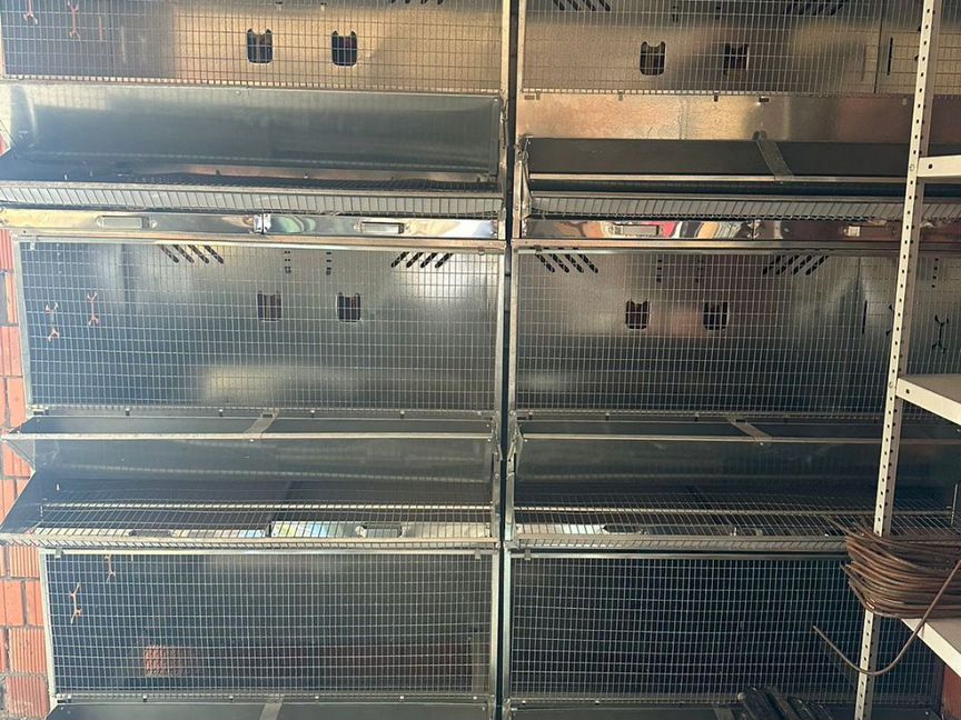 Клетка Куриная