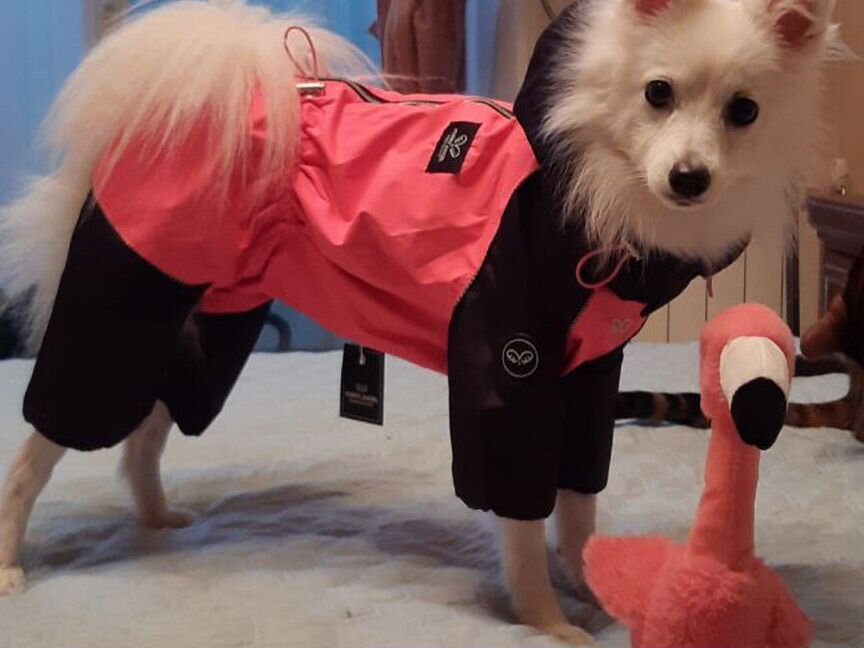 Комбинезон утепленный для собаки