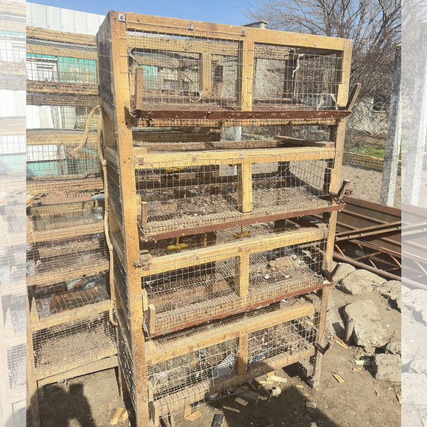 Клетки для перепелов бу