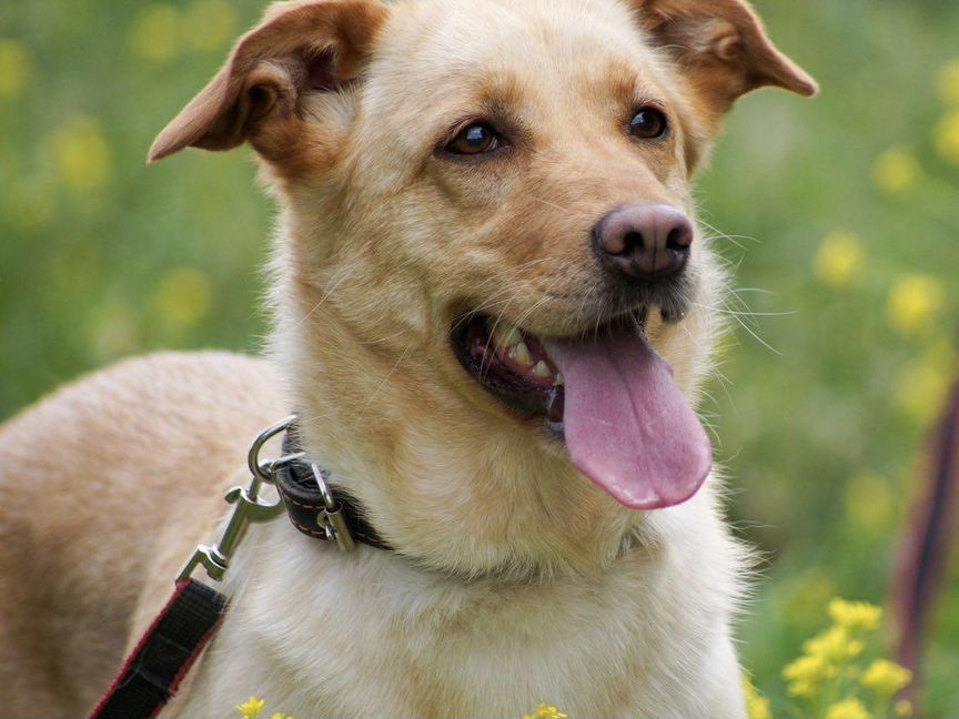 Зои - само совершенство