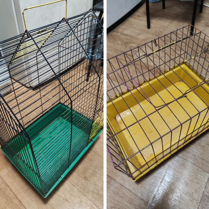 Клетка бесплатно