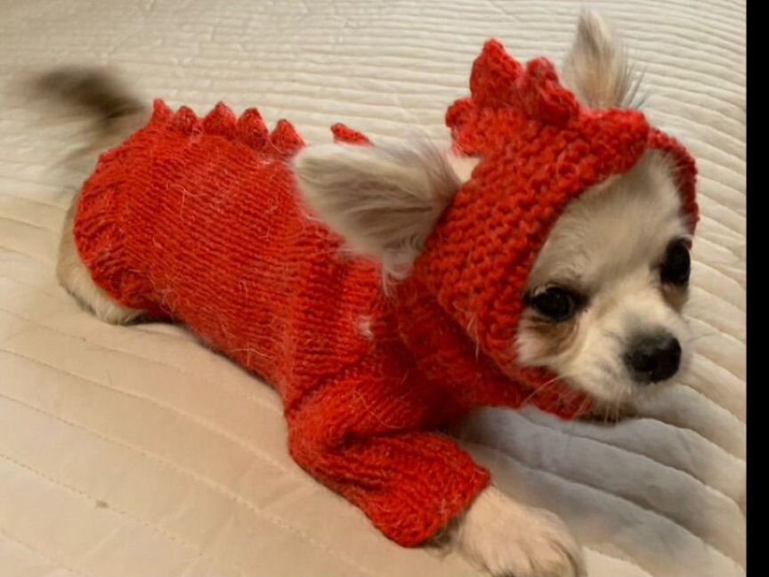 Свитер для собаки Дракон+шапочка