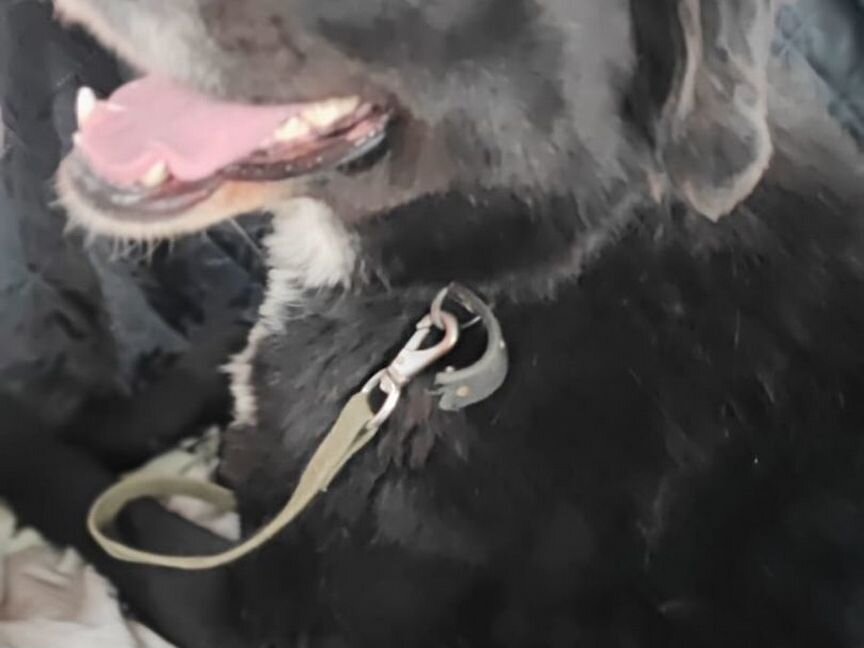 Два года жизни в аду