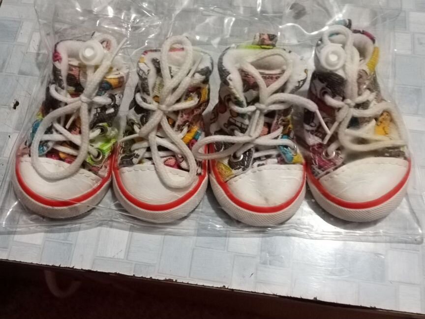 Ботинки для собак