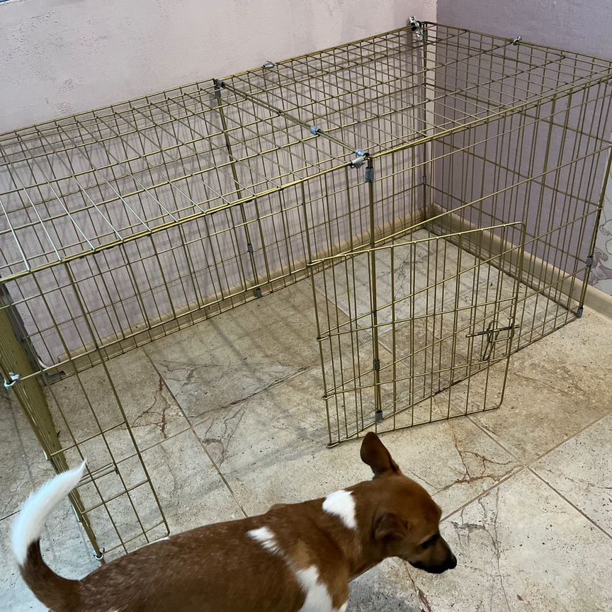Вольер для собак