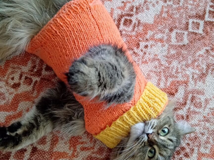 Безрукавка