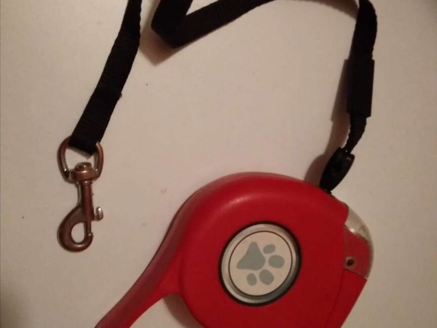 Поводок для собак