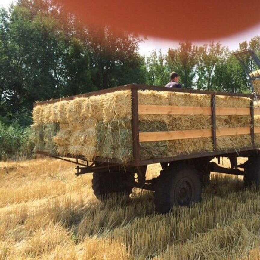 Солома опт розница