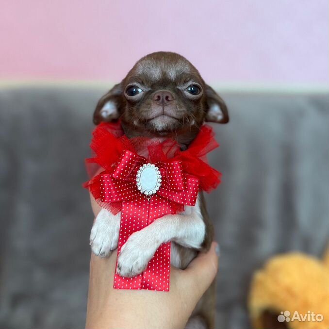 Фантастическая мини девочка