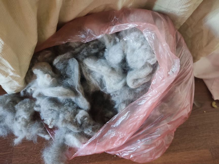 Шерсть собаки