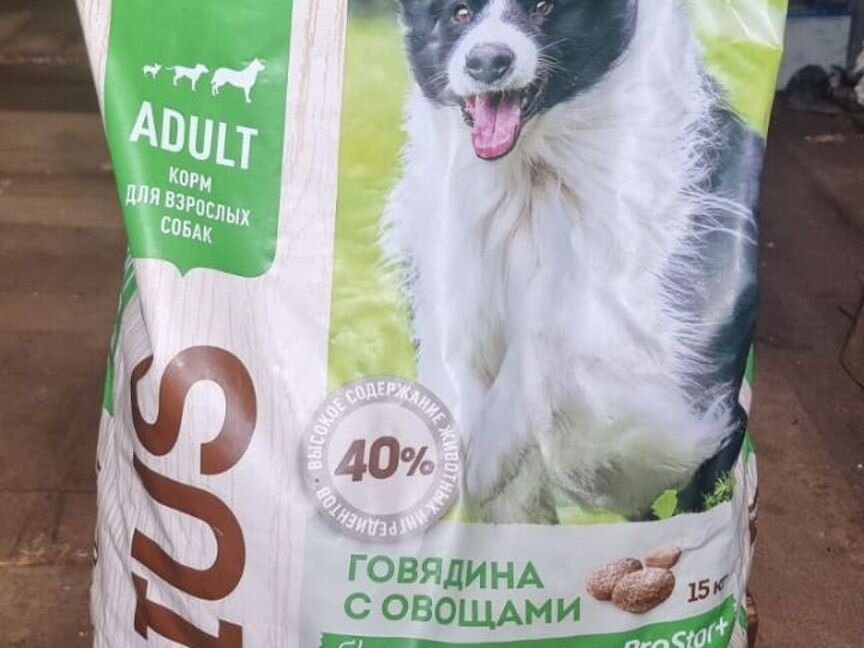 Сухой корм для собак