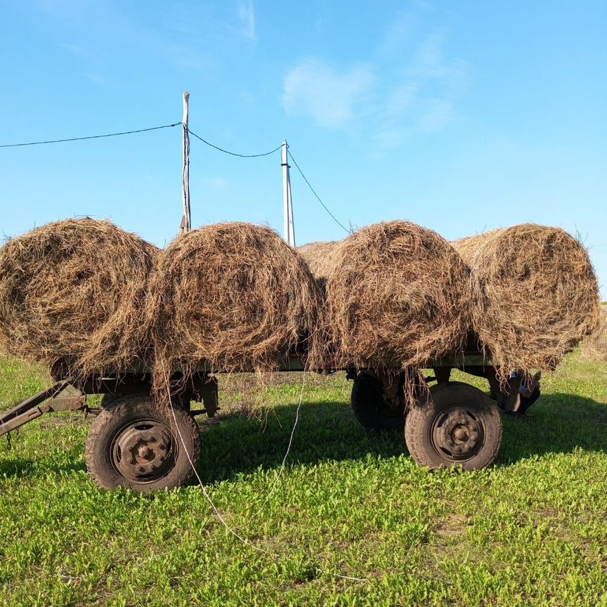 Сено в рулонах