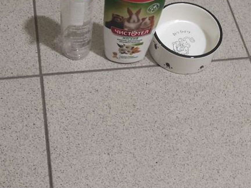 Кормушка, шампунь для крысы