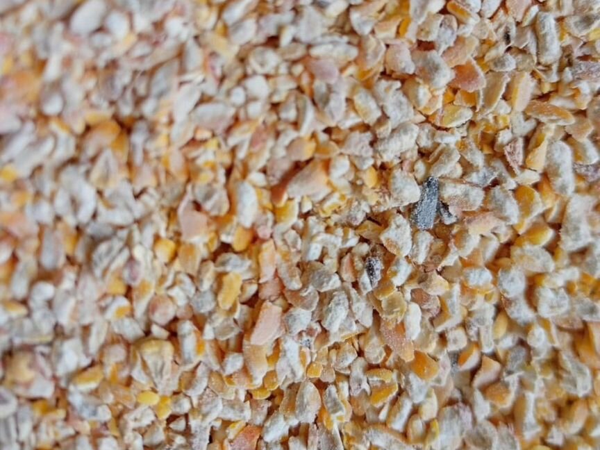 Сечка кукурузы