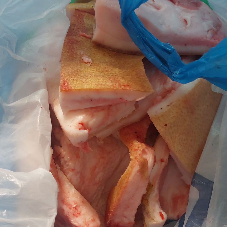 Корм для собак