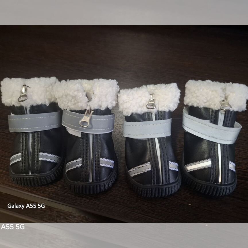 Обувь для собак