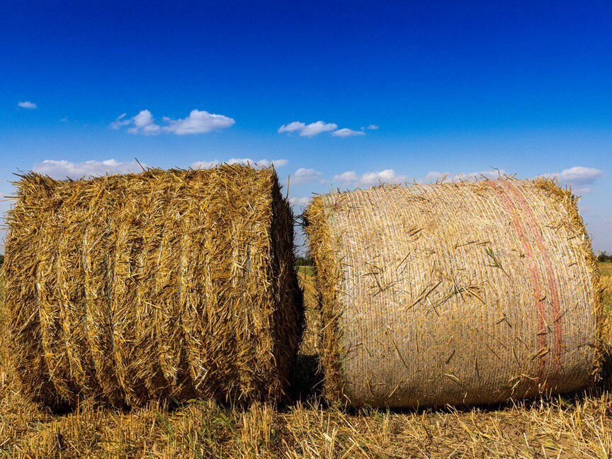 Солома в рулонах пшеничная,гороховая,ячменная