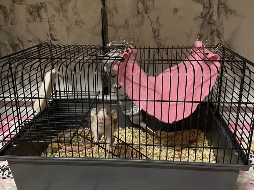 Клетка для грызунов