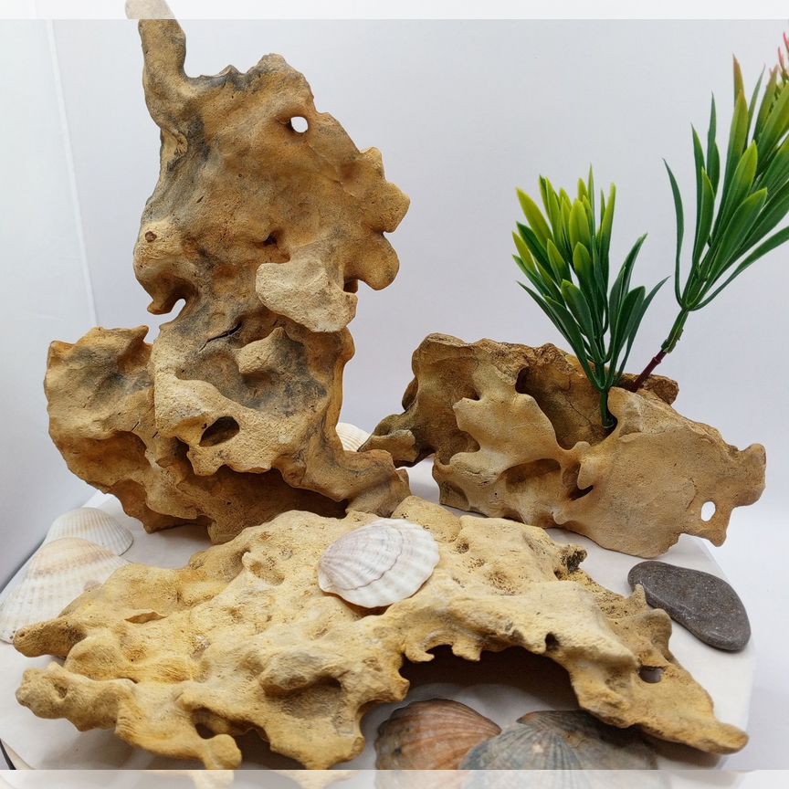 Камни для аквариума известняк ракушечник