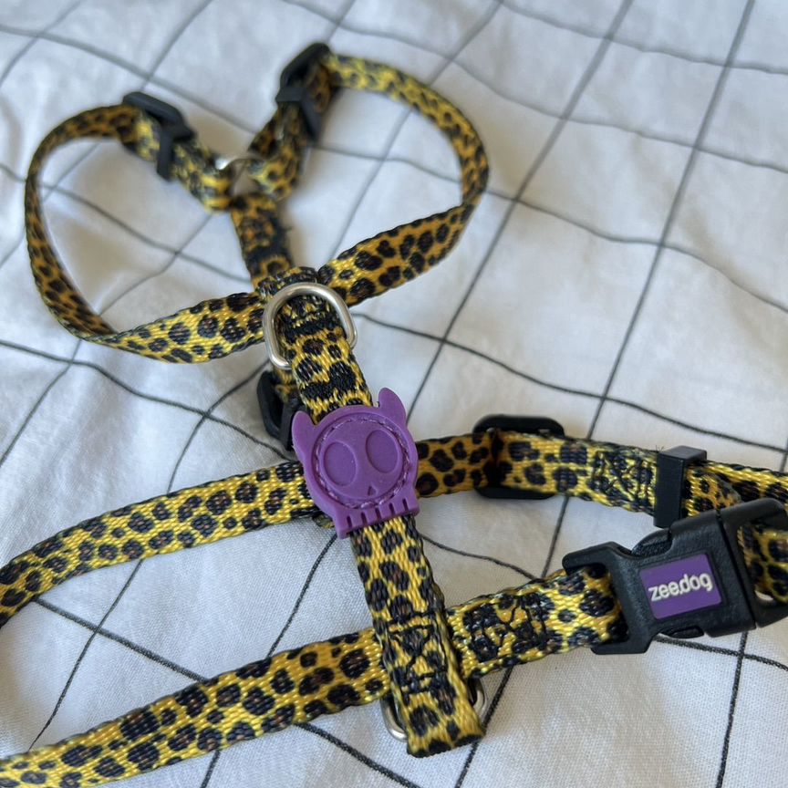 Шлейка zeedog honey XS