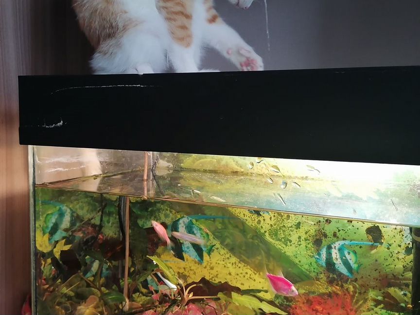 Аквариум с оборудованием