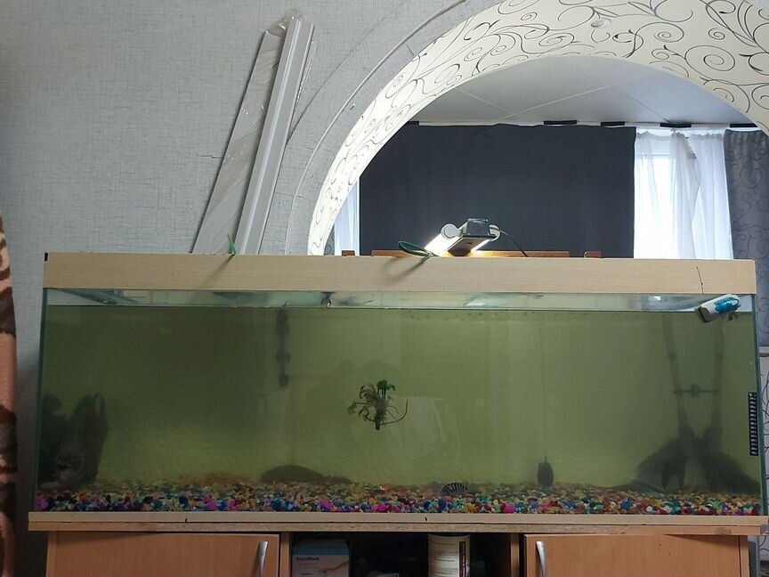 Аквариум с тумбой 400 литров