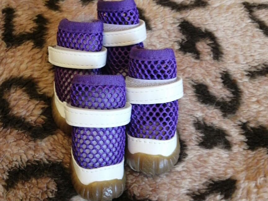 Летняя сетчатая обувь для чихуахуа