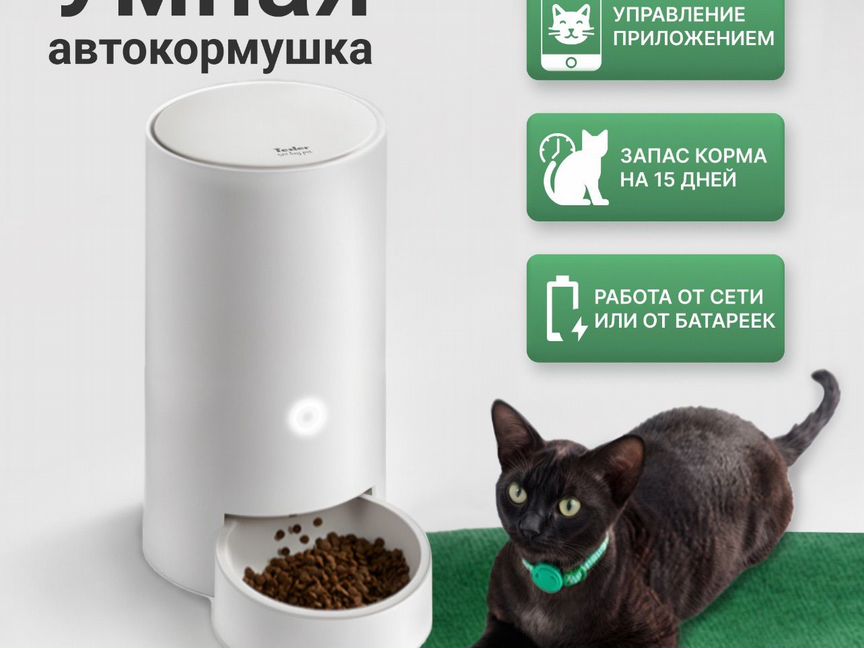 Автокормушка