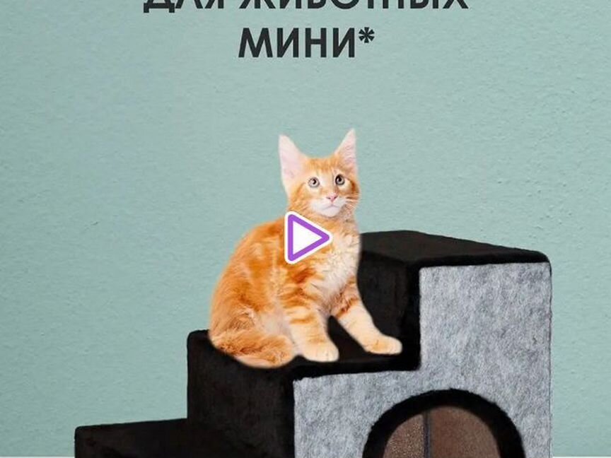Лесенка-бутка для собак и кошек