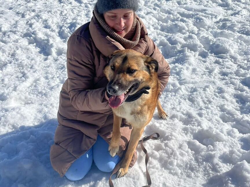 Мы спасаем их, а они нас