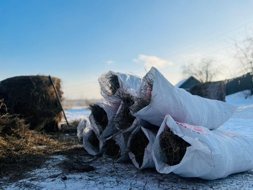 Сено в мешках