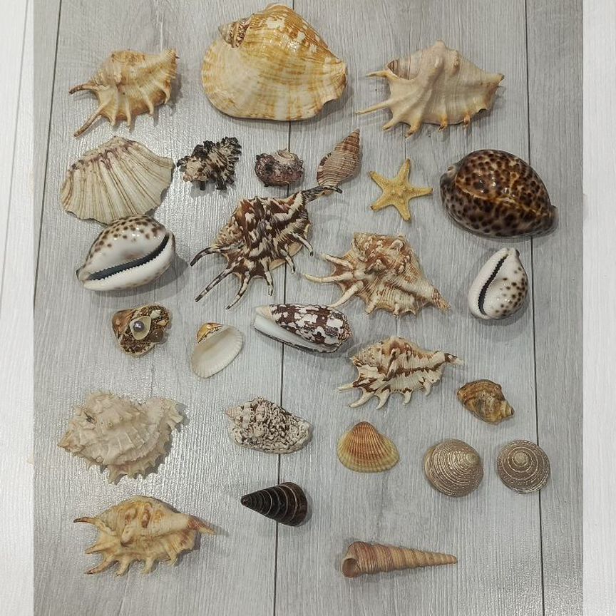 Декор для аквариума