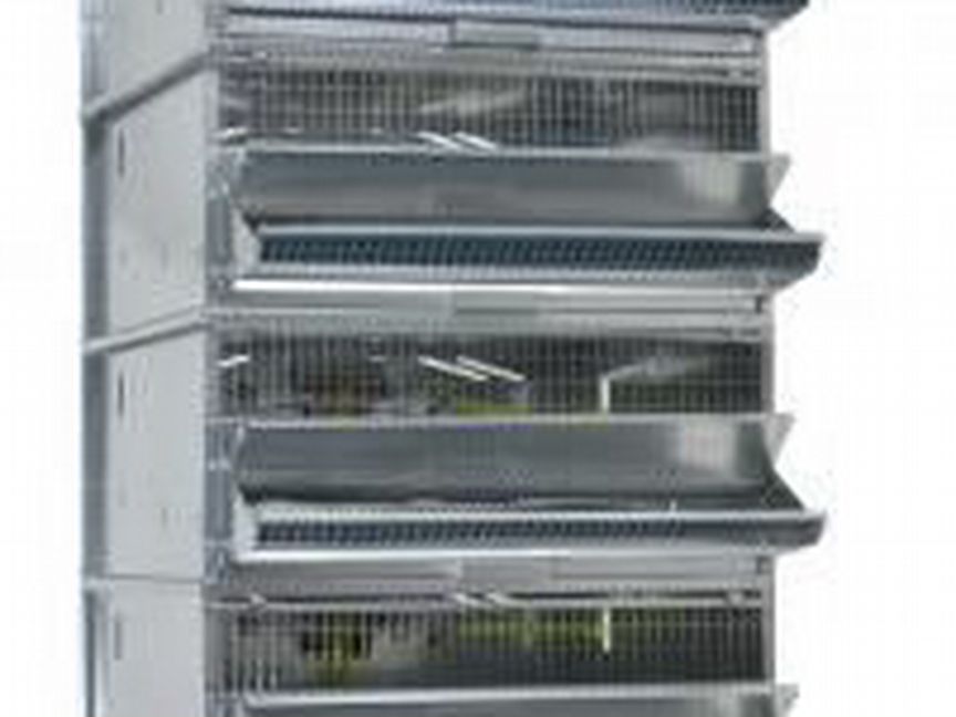 Клетка для перепелов на 180 голов