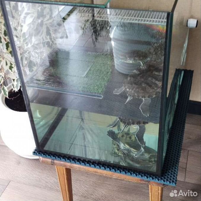 Черепахи с аквариумом