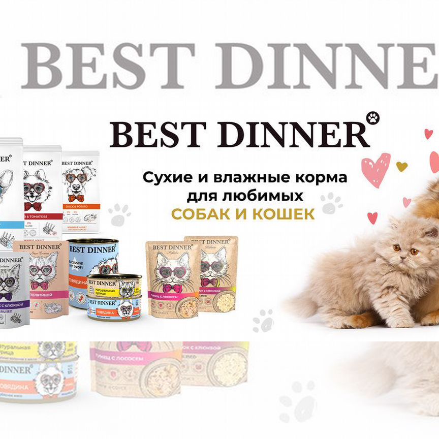 Best Dinner- (Бест Диннер) Сухие корма и консервы
