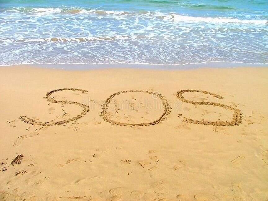 Кот Стоп Прочитай