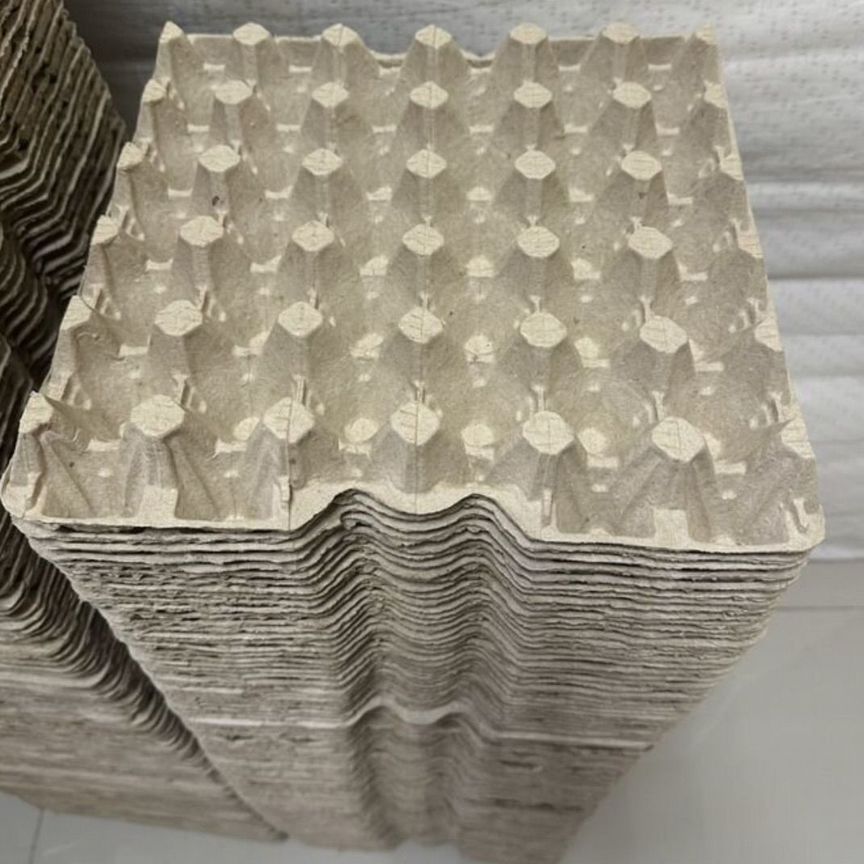 Яичные лотки